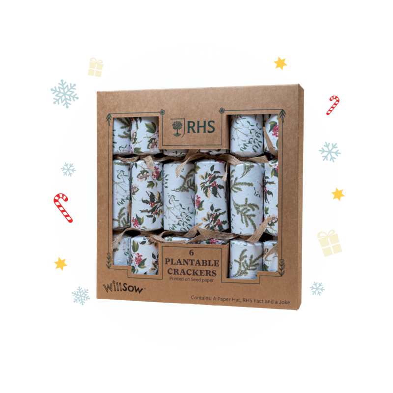 willsow – Willsow books are the first of its kind, never before have ...